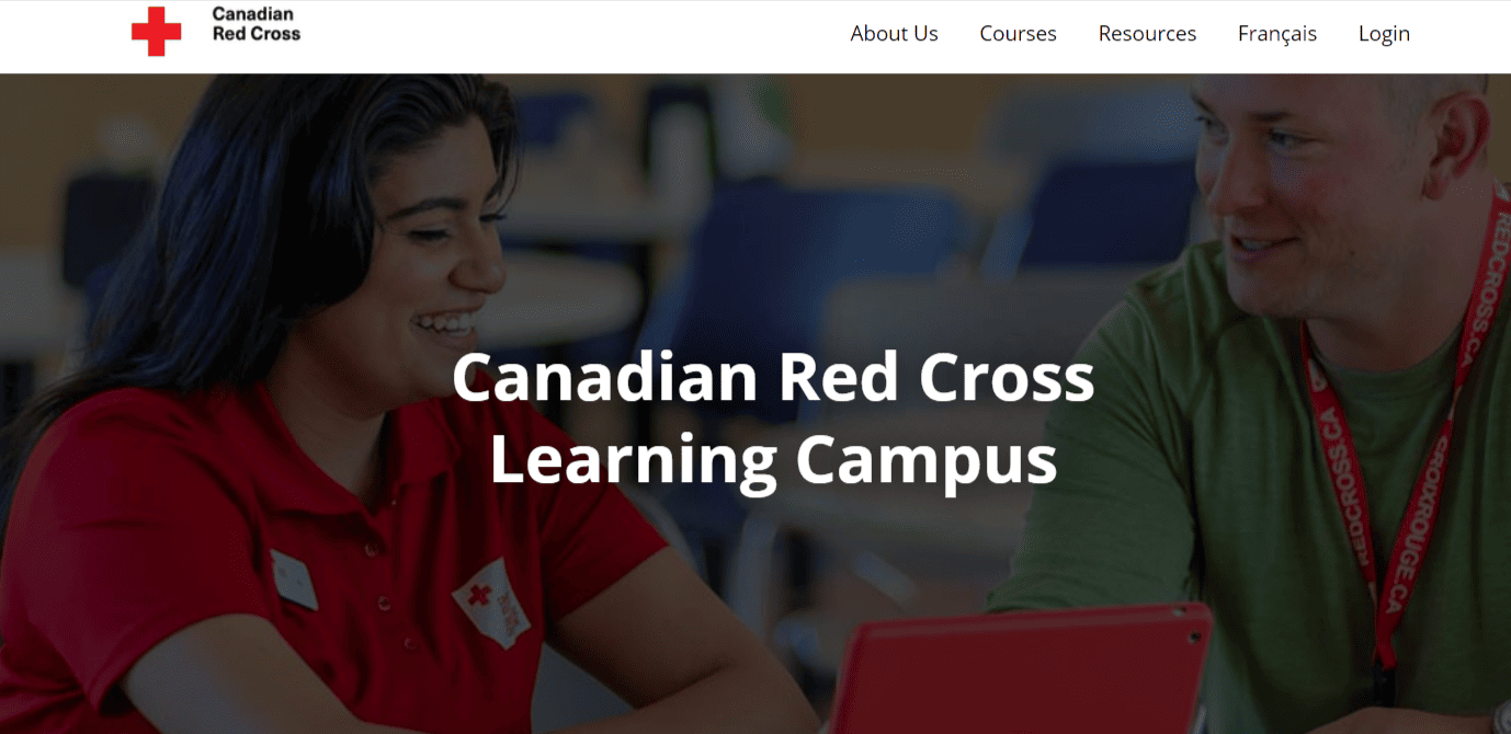20+ Best Teachable Website Examples for 2024